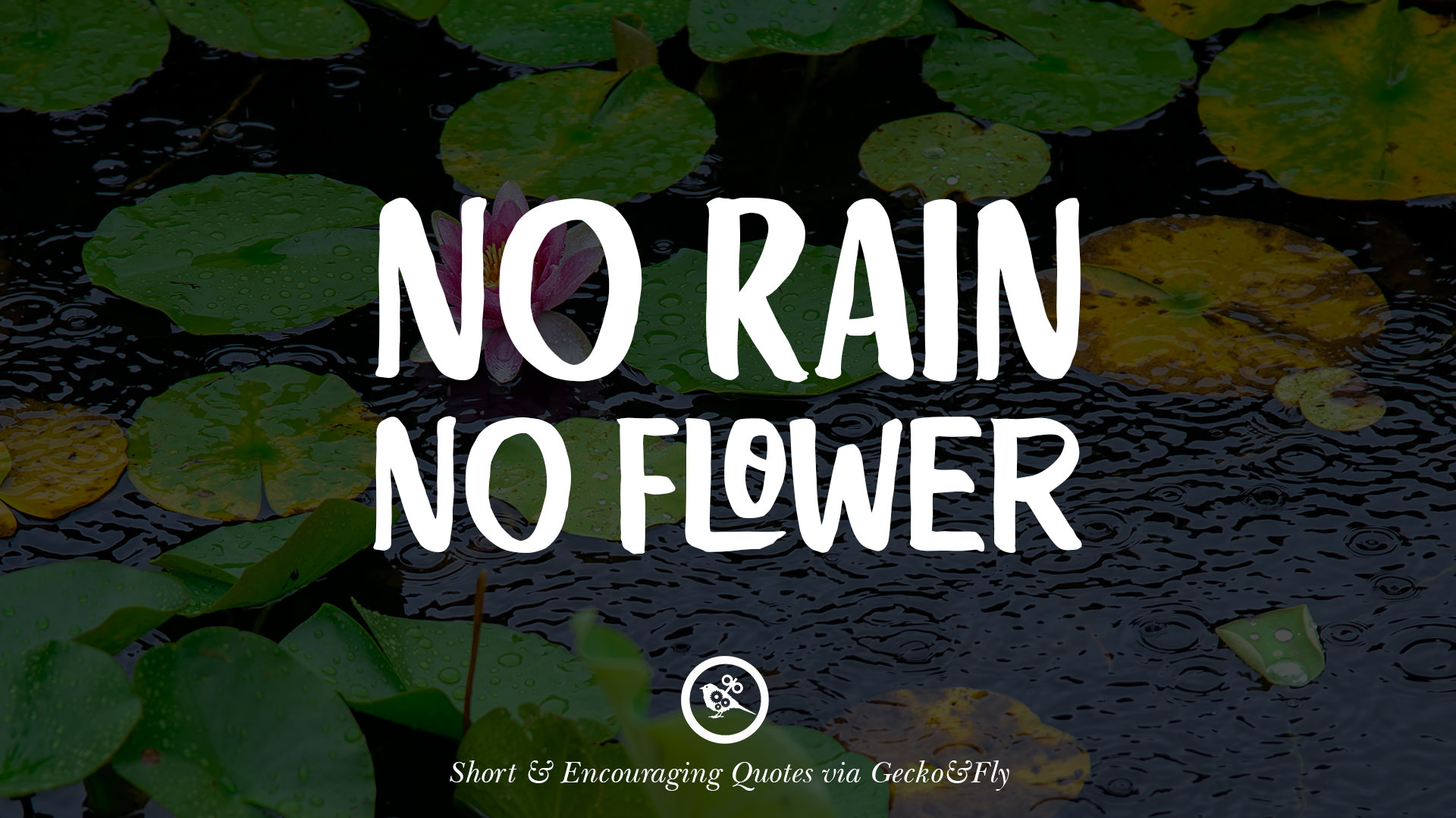 50 Beautiful Short, Nice And Encouraging Quotes For An Inspirational Day
